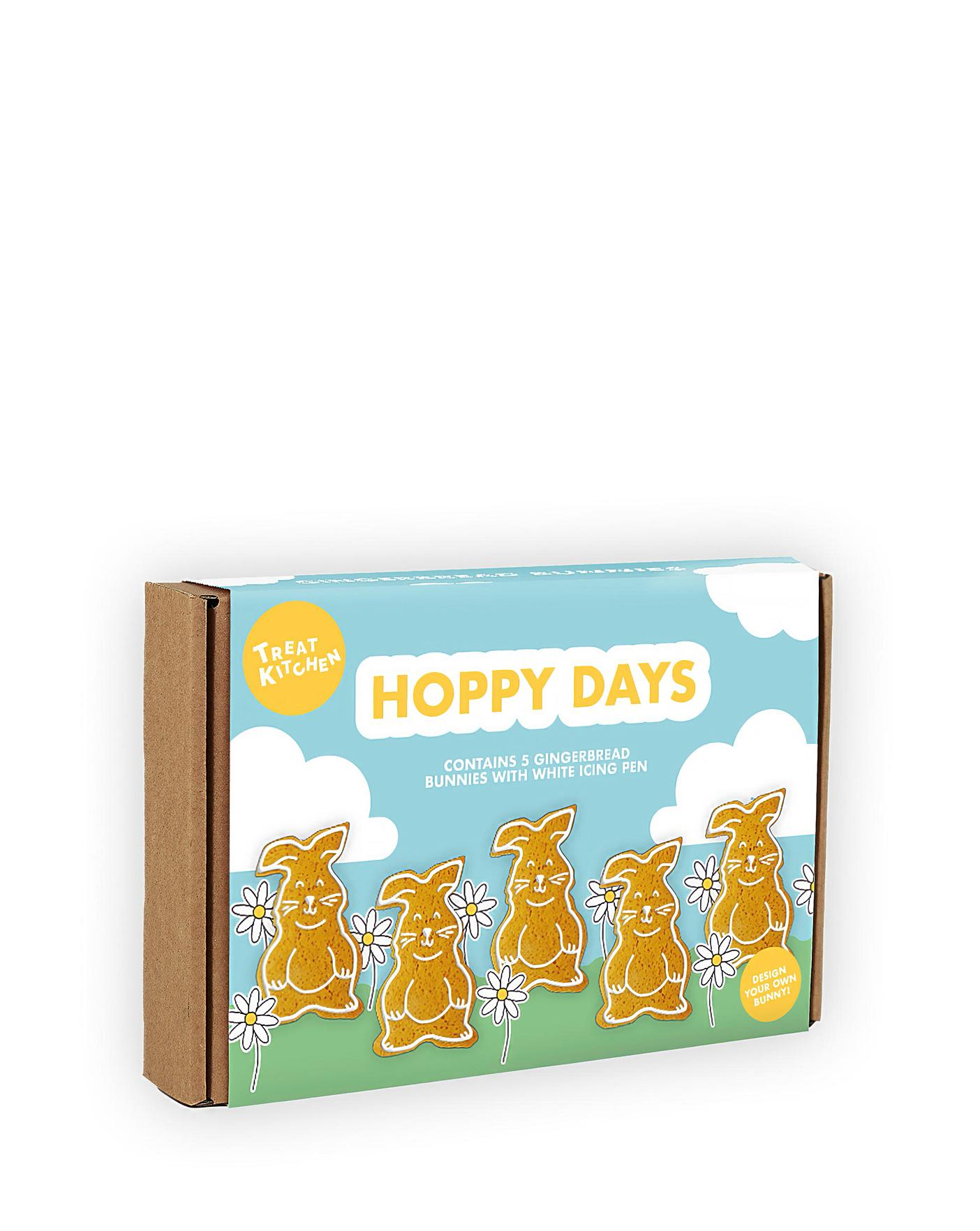 Treat Kitchen DIY Biscuit Bunny Kit | J D Williams