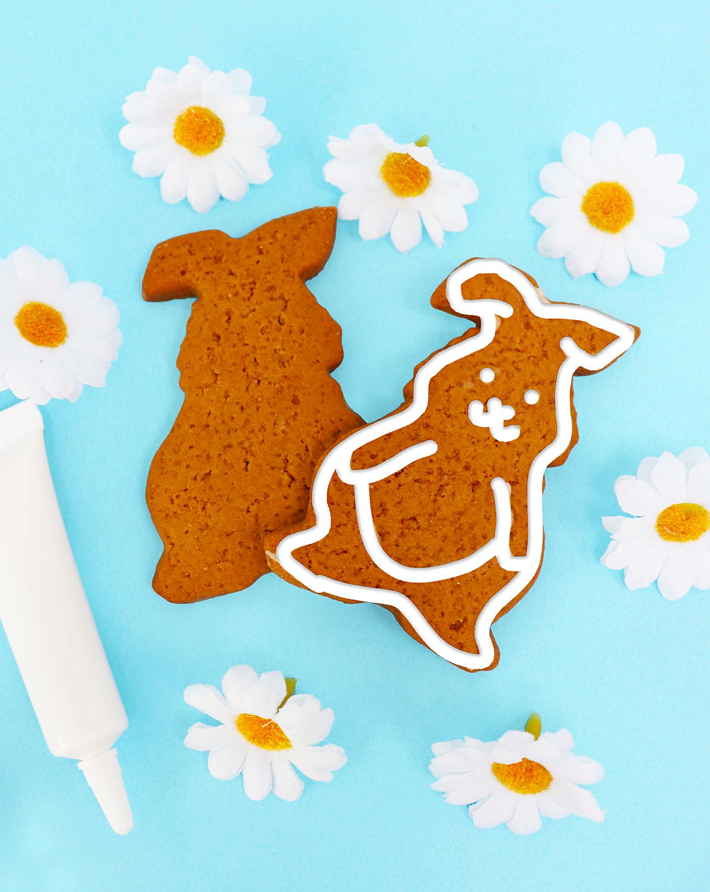Treat Kitchen DIY Biscuit Bunny Kit | J D Williams