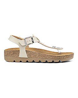 Ladies Toe Post Sandals | Also in Wide Fits | JD Williams